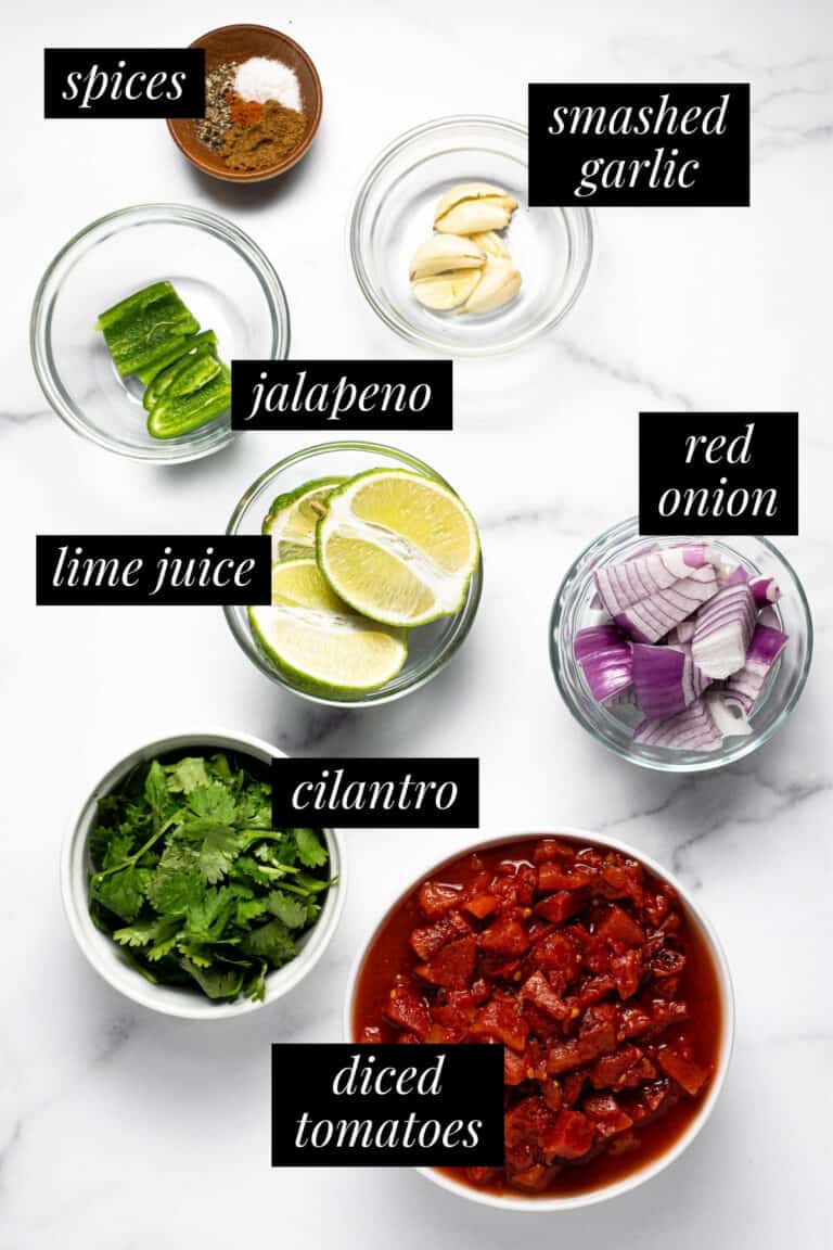 5 Minute Restaurant Salsa Recipe - Midwest Foodie