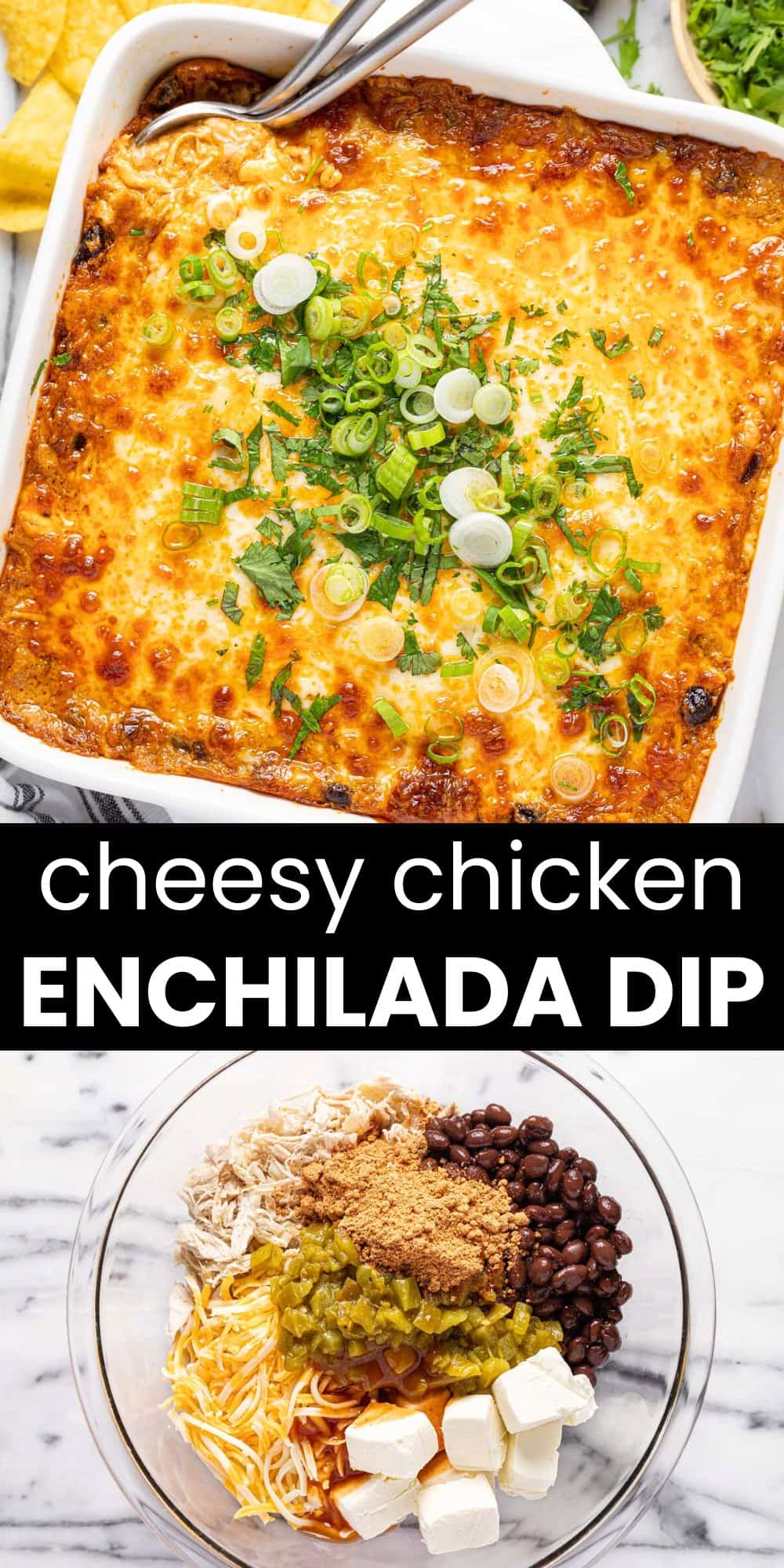 Chicken Enchilada Dip - Midwest Foodie